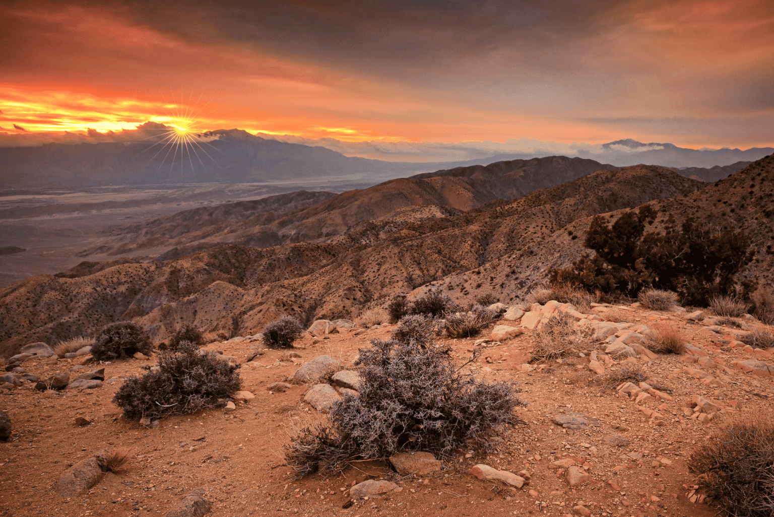 The Best Sunset and Sunrise Spots in Joshua Tree National Park - Katie ...