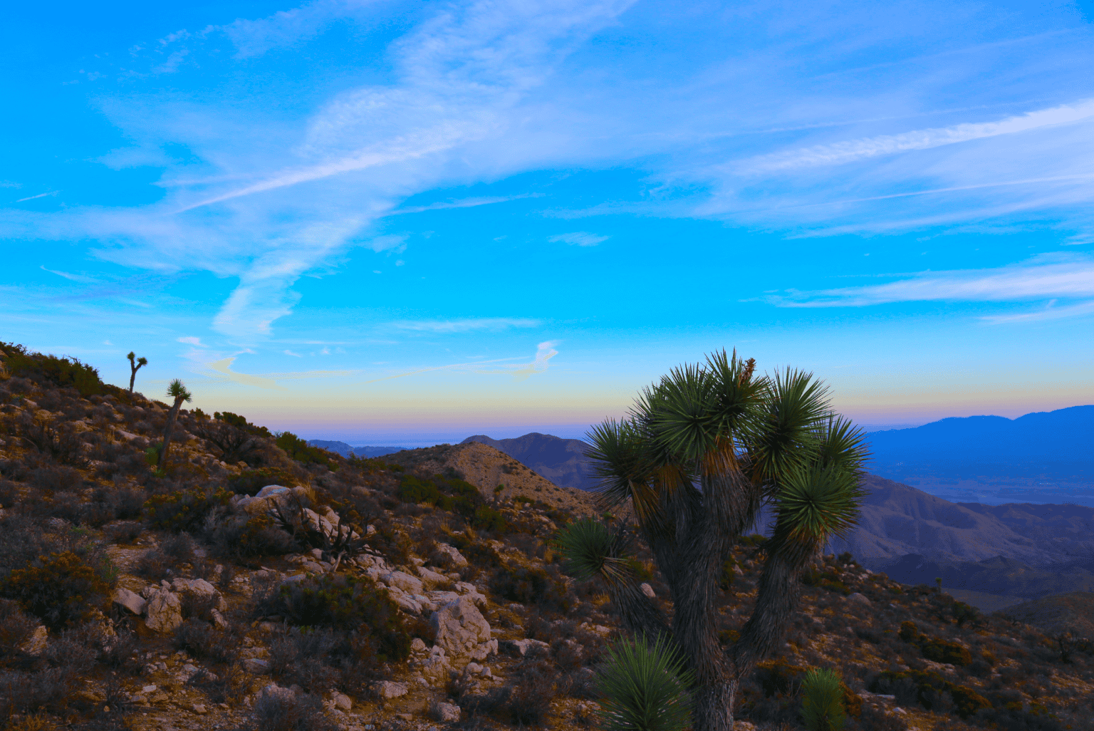 The Best Sunset and Sunrise Spots in Joshua Tree National Park - Katie ...