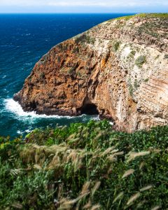 11 Fun Facts About Channel Island National Park - Katie And Joe On The Go