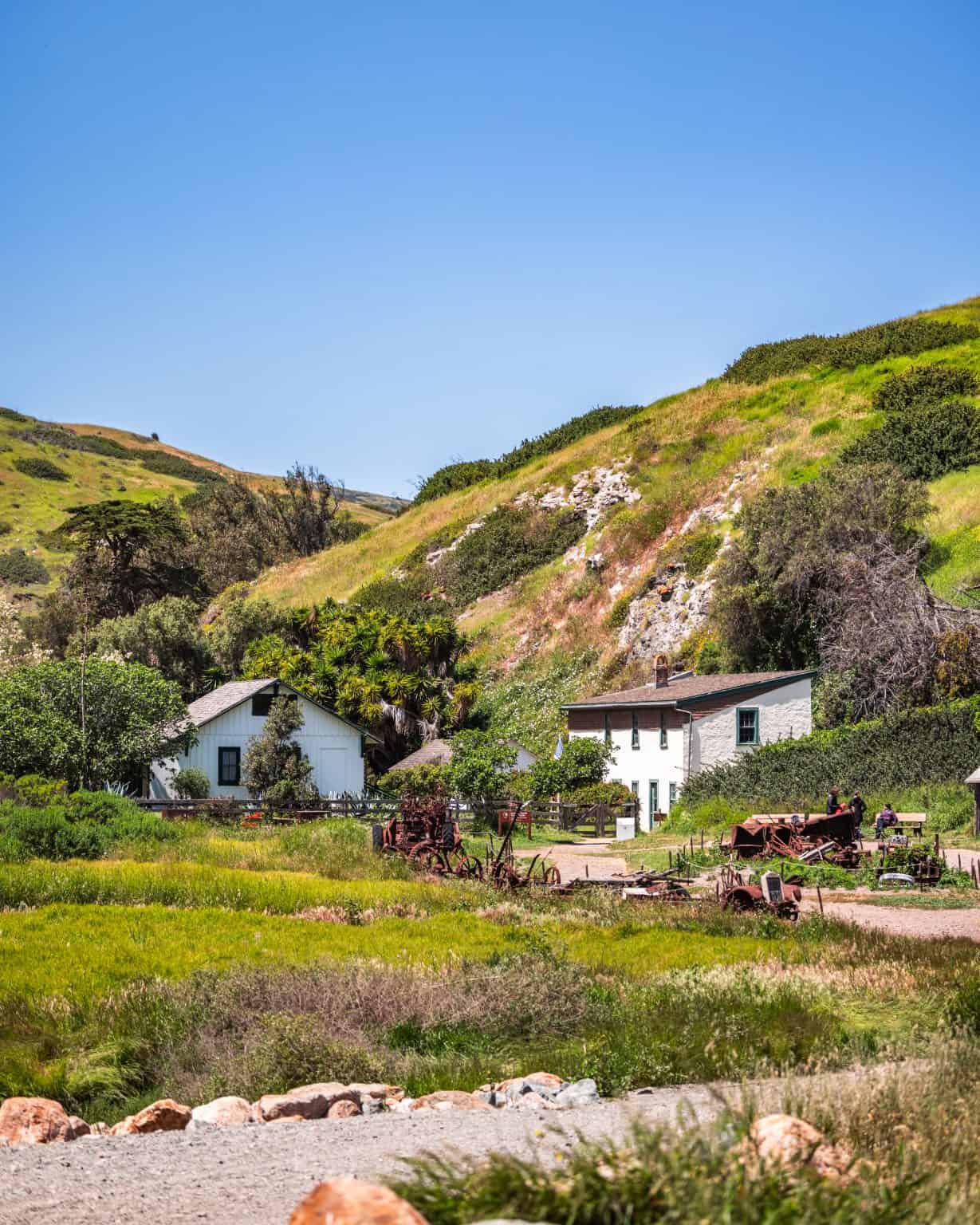 11 Fun Facts About Channel Island National Park - Katie And Joe On The Go