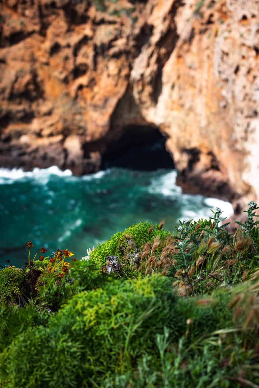 Ultimate Guide: How to Get to Santa Cruz Island in Channel Islands ...